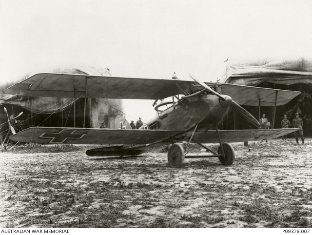 Halberstadt RR3/4. Halberstadt CL II aircraft no. 15342/17 of ...