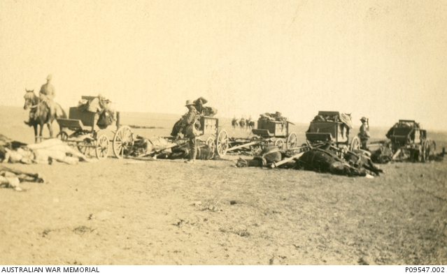 "Turkish ammunition column captured by 1st ALH Bge south of Bureir ...