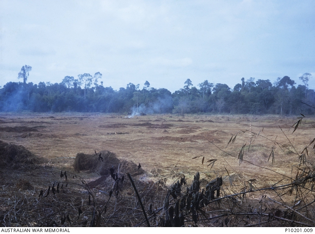 A desolate, completely cleared area is all that remains after US Army ...