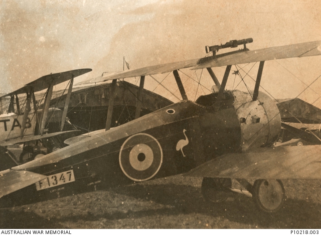 Starboard side view of a Sopwith Camel training aircraft (number F1347 ...