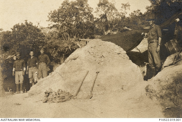 "Patients waiting place Victoria Gully." This image is from the ...