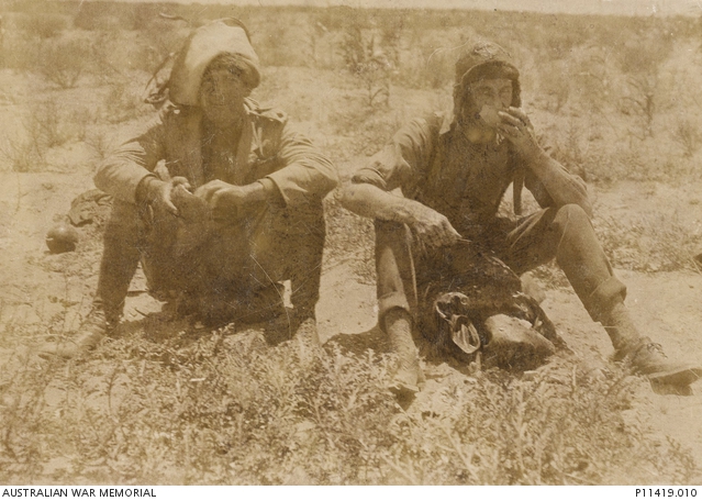 "Brown and Ron Austin [ Lieutenant C le B Brown MC and Captain R A ...