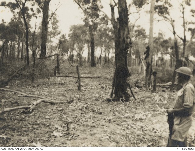 An Australian soldier surveys damage from Japanese bombs. This ...