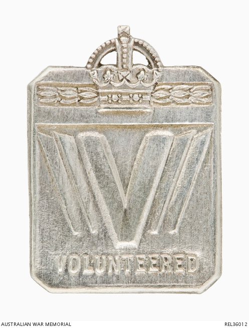 Lapel badge: Medically Unfit Exemption Badge - NX93640 Craftsman T. S ...