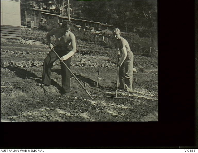 Warburton, Vic. C. 1945. 41562 Sergeant (Sgt) J. Blake of Black Rock ...