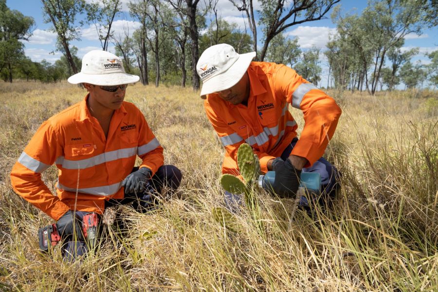 Indigenous Participation Plans: Mining and Indigenous Peoples in ...