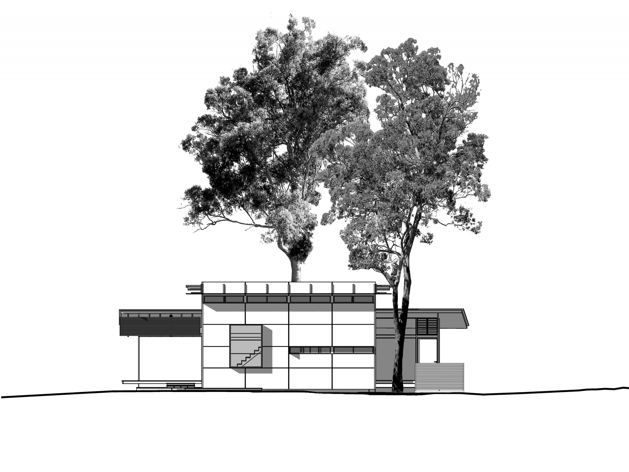 Bark Architects | NoosaBark Studio - Bark Architects | Noosa