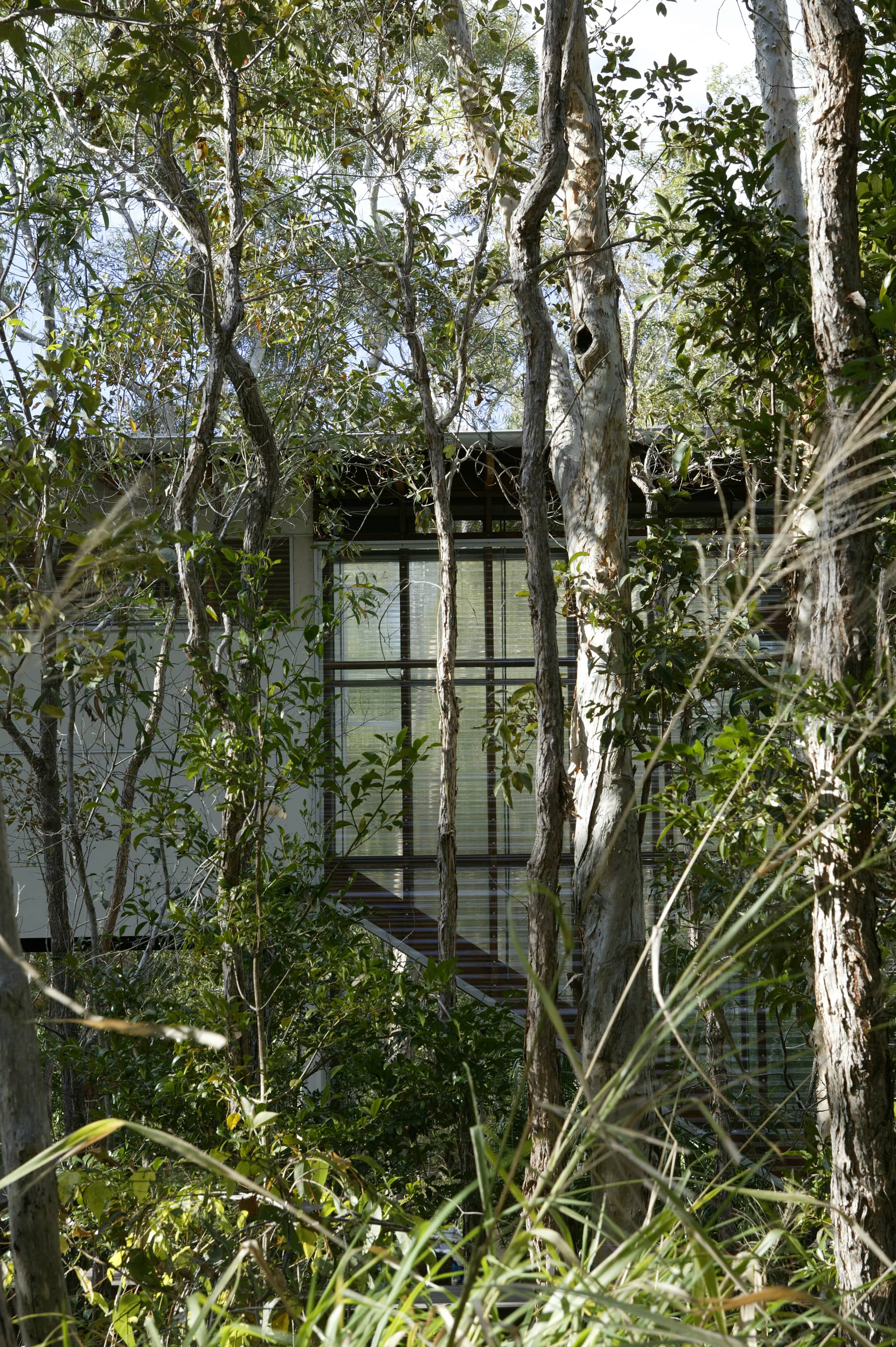 Bark Architects | NoosaBush - Bark Architects | Noosa
