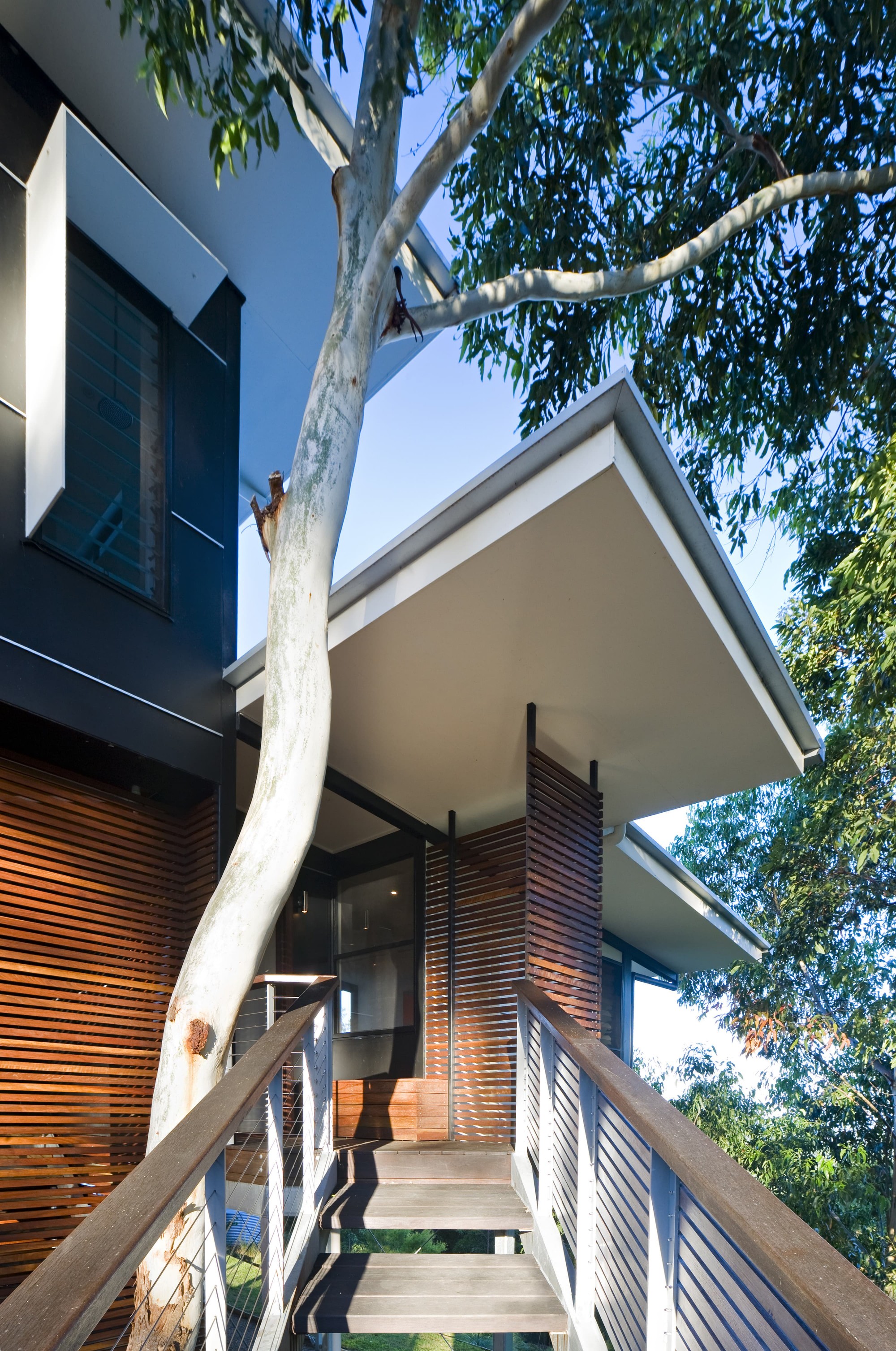 Bark Architects | NoosaTinbeerwah - Bark Architects | Noosa