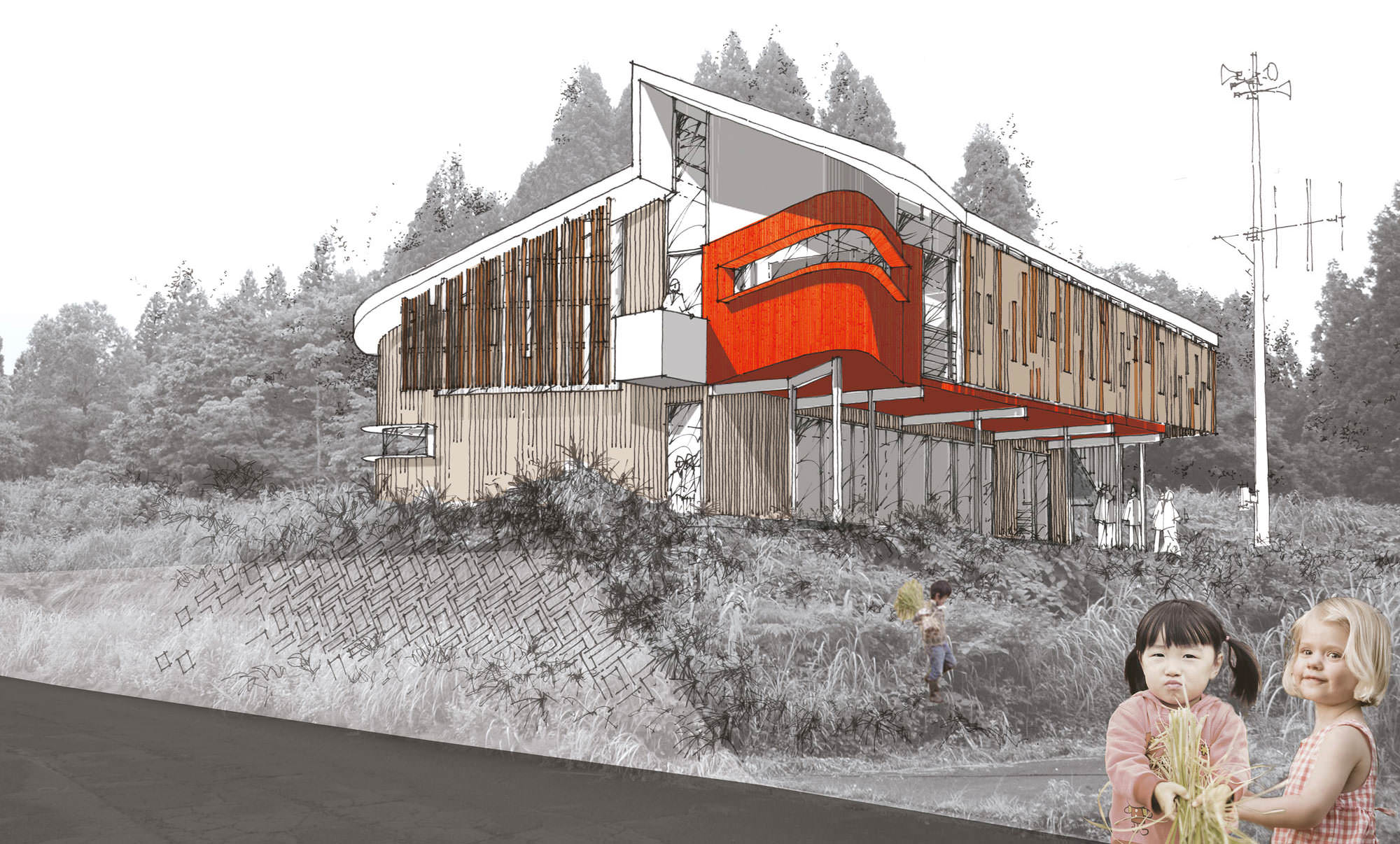 Bark Architects | NoosaAustralia House - Bark Architects | Noosa