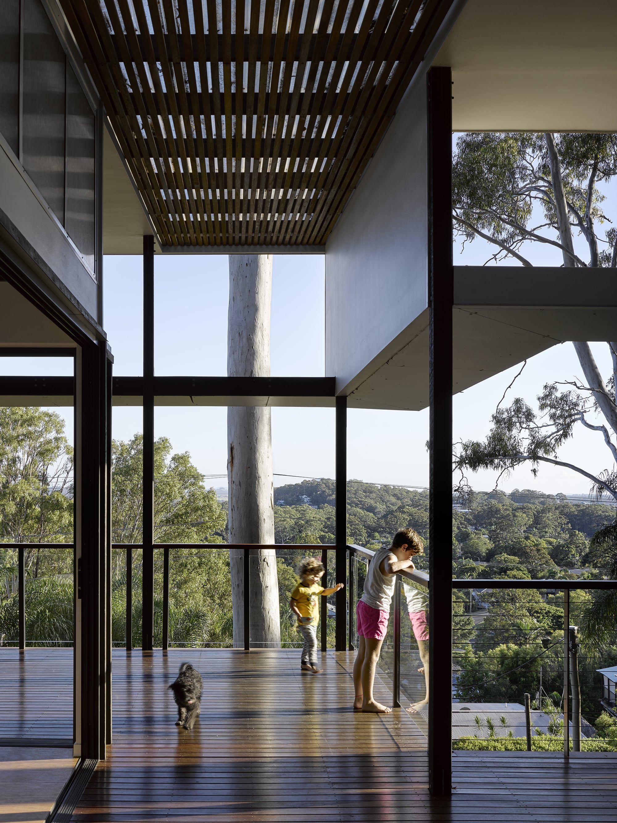 Bark Architects | NoosaTwo Tree House - Bark Architects | Noosa