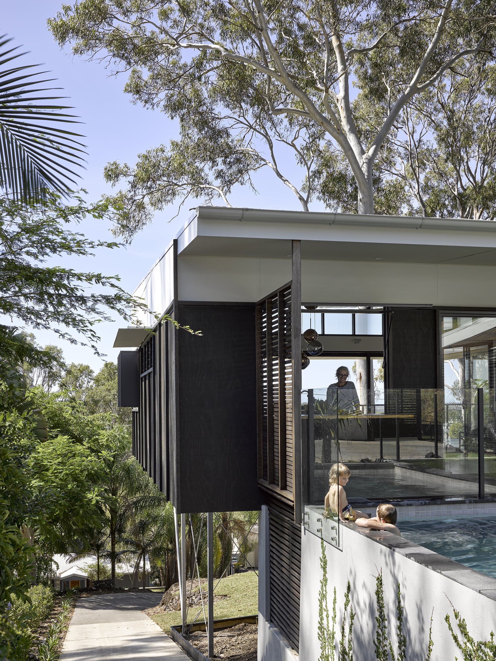 Bark Architects | NoosaTwo Tree House - Bark Architects | Noosa