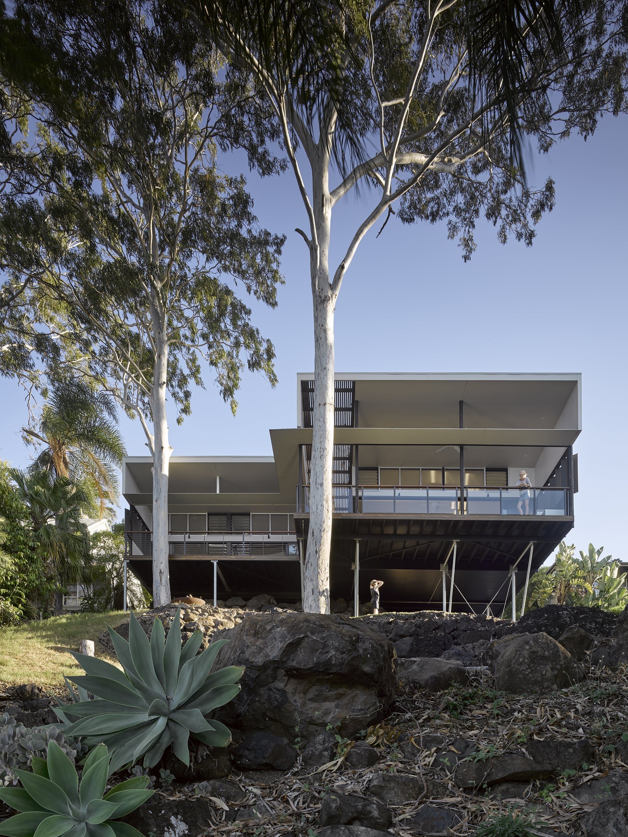 Bark Architects | NoosaTwo Tree House - Bark Architects | Noosa