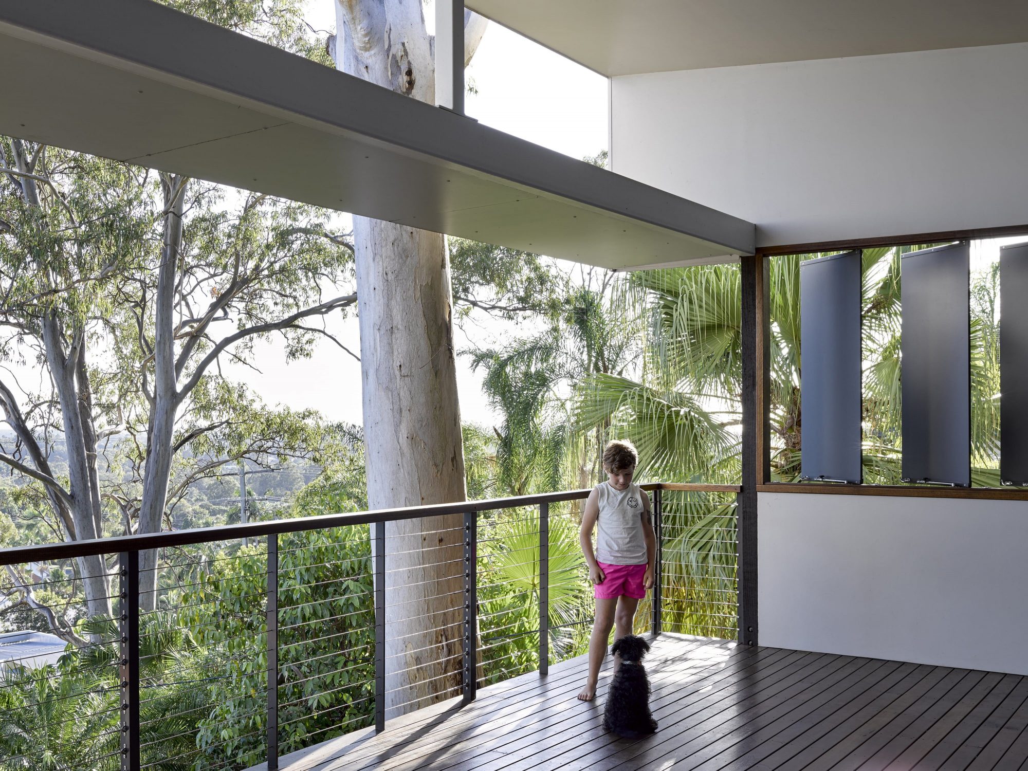 Bark Architects | NoosaTwo Tree House - Bark Architects | Noosa