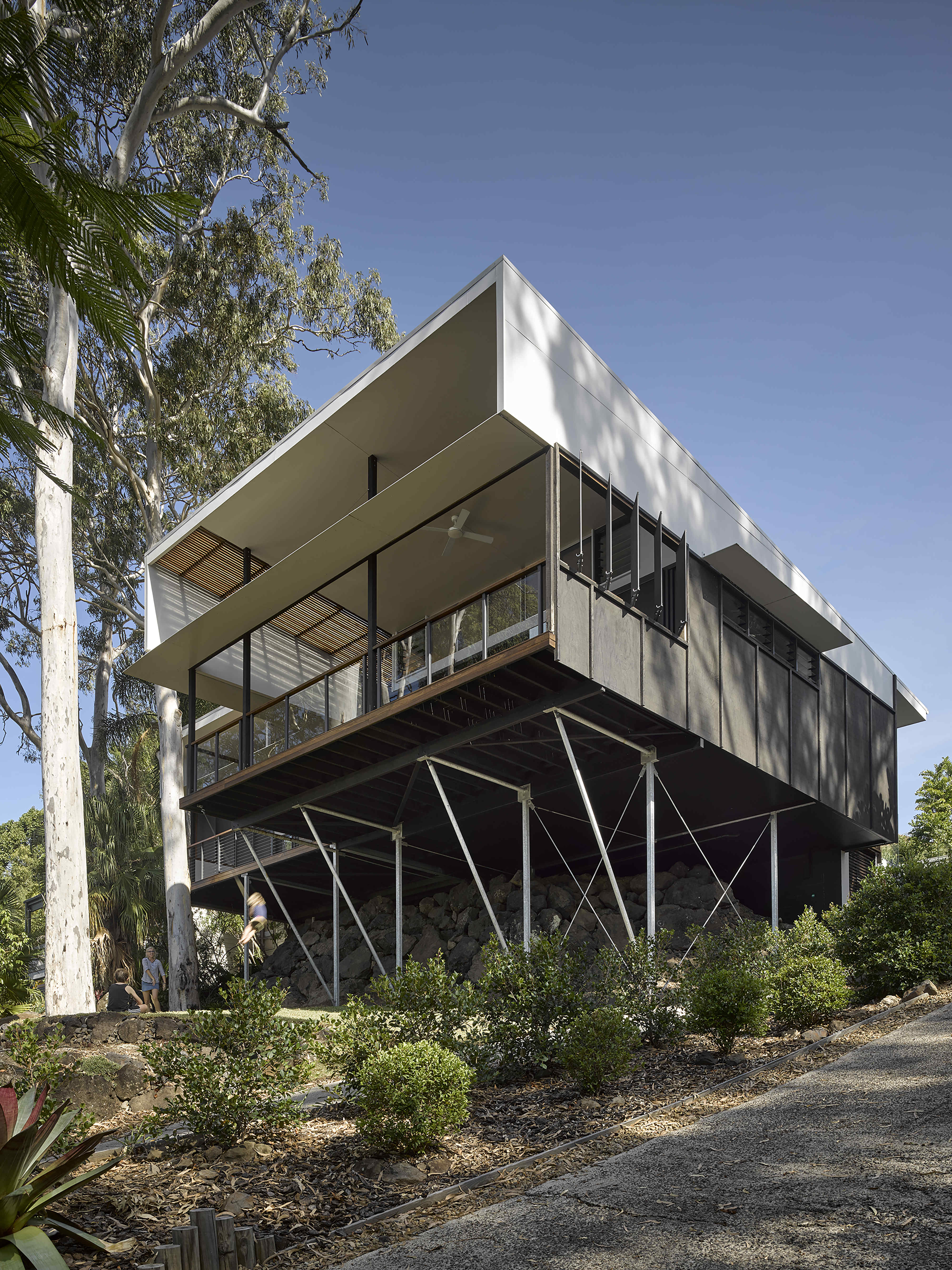 Bark Architects | NoosaTwo Tree House - Bark Architects | Noosa