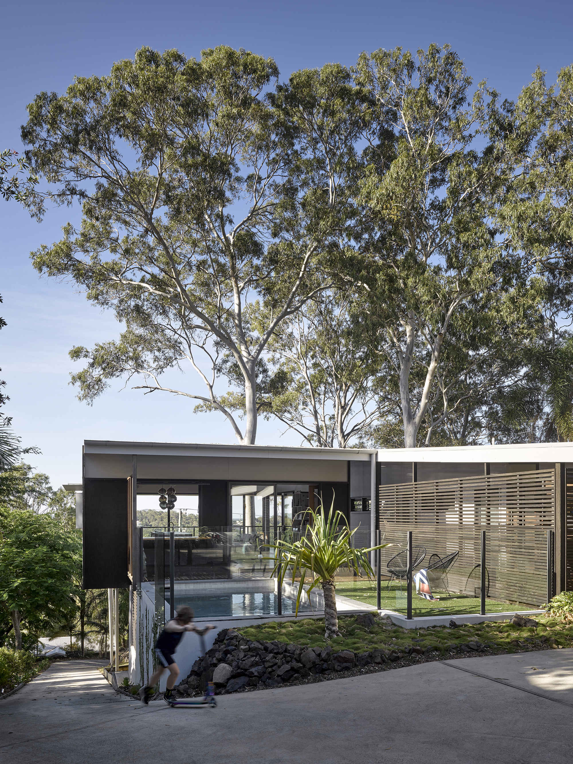 Bark Architects | NoosaTwo Tree House - Bark Architects | Noosa
