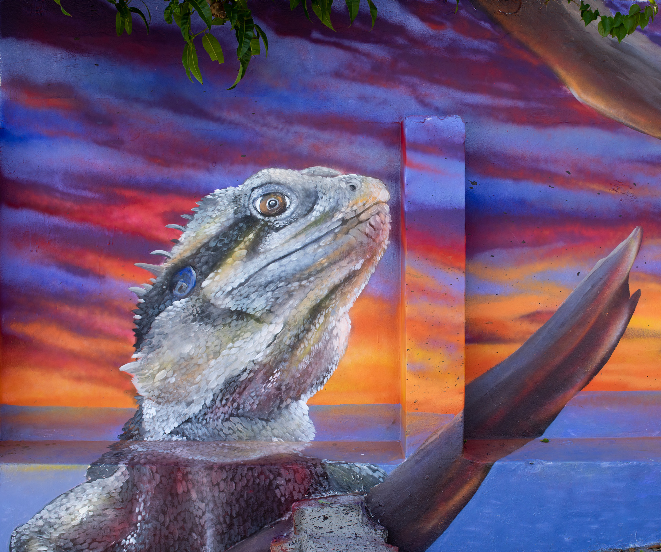 Lizard by the sea by Mr Mupz in Sunshine Coast