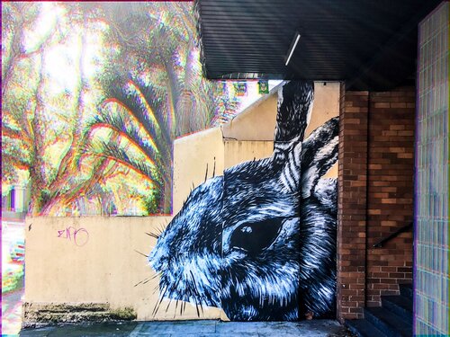 George the Rabbit by @MCRT.Studio in Brisbane