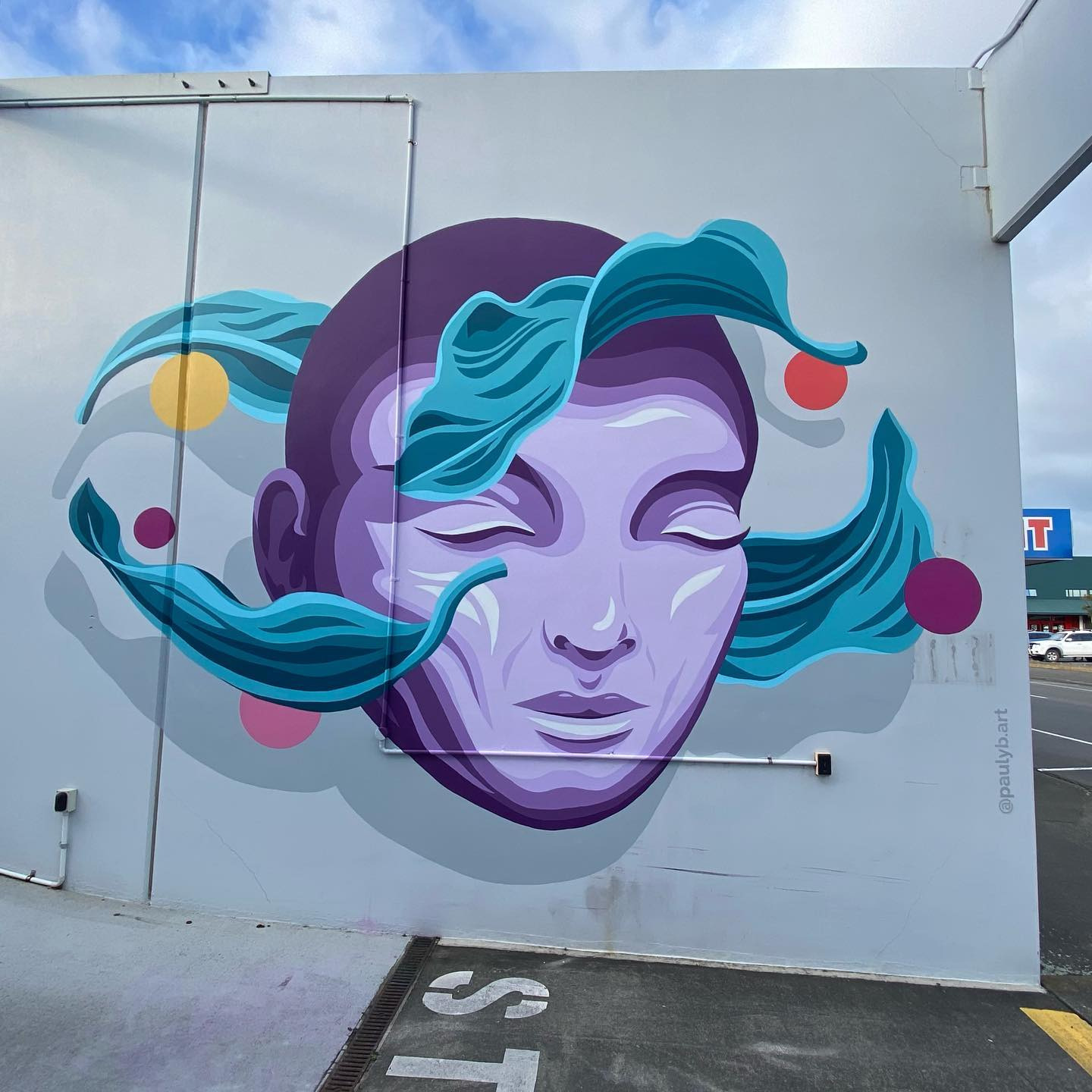 Mural for Hastings Hive - Hawkes Bay New Zealand by Pauly B in Auckland