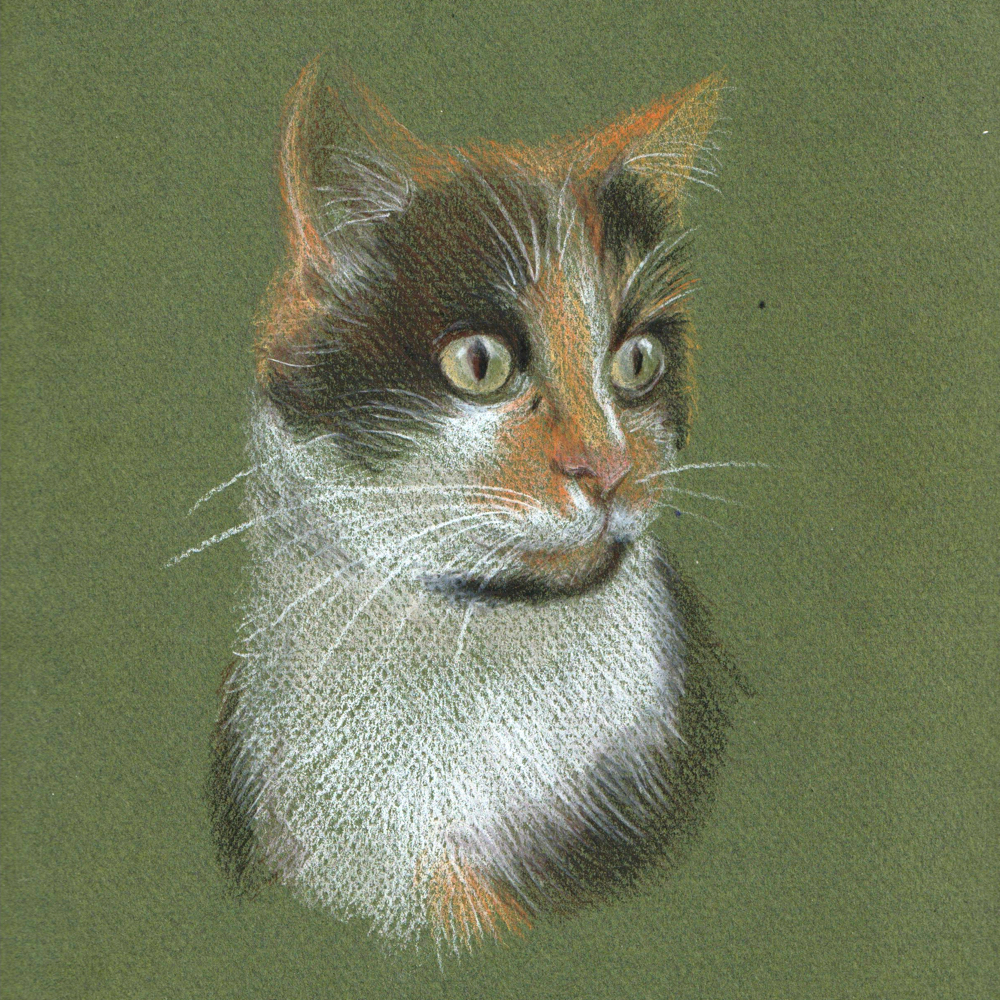 Moana by Nick Gott Artistry in Dunfermline