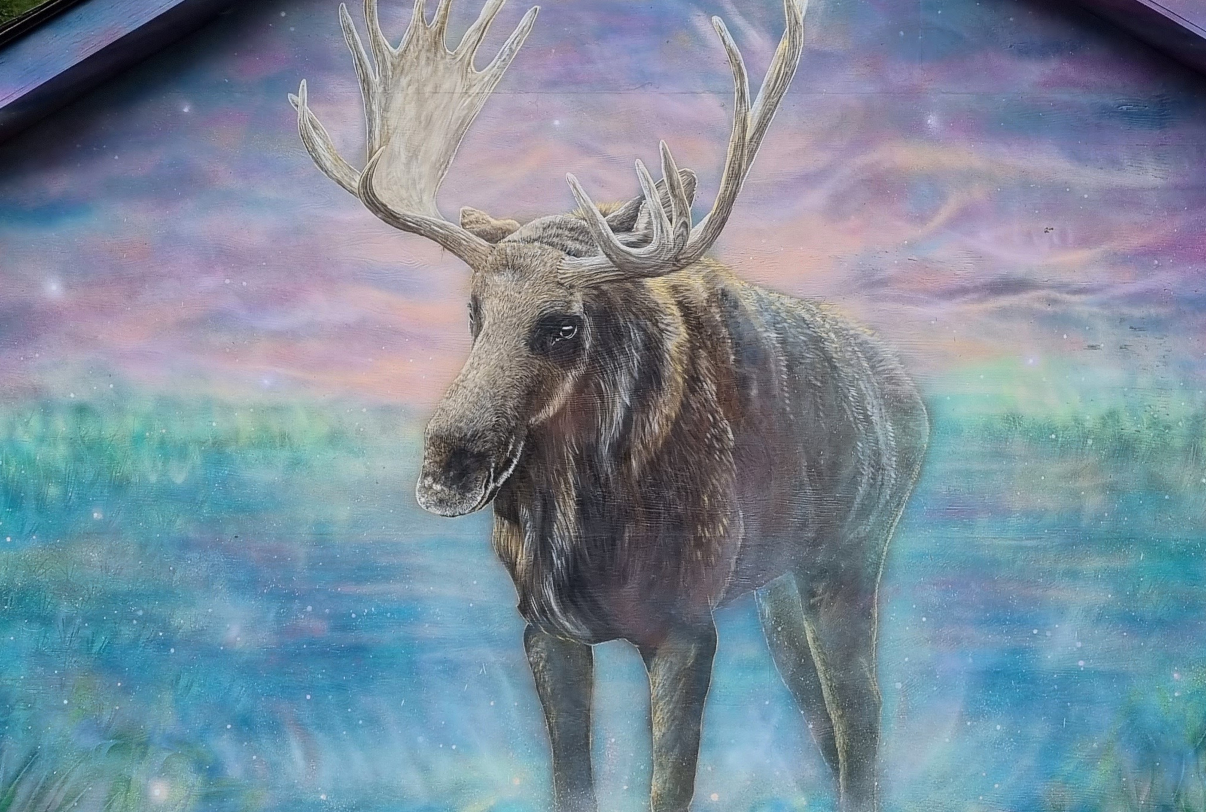 Moose Mural by Emily in Barrie