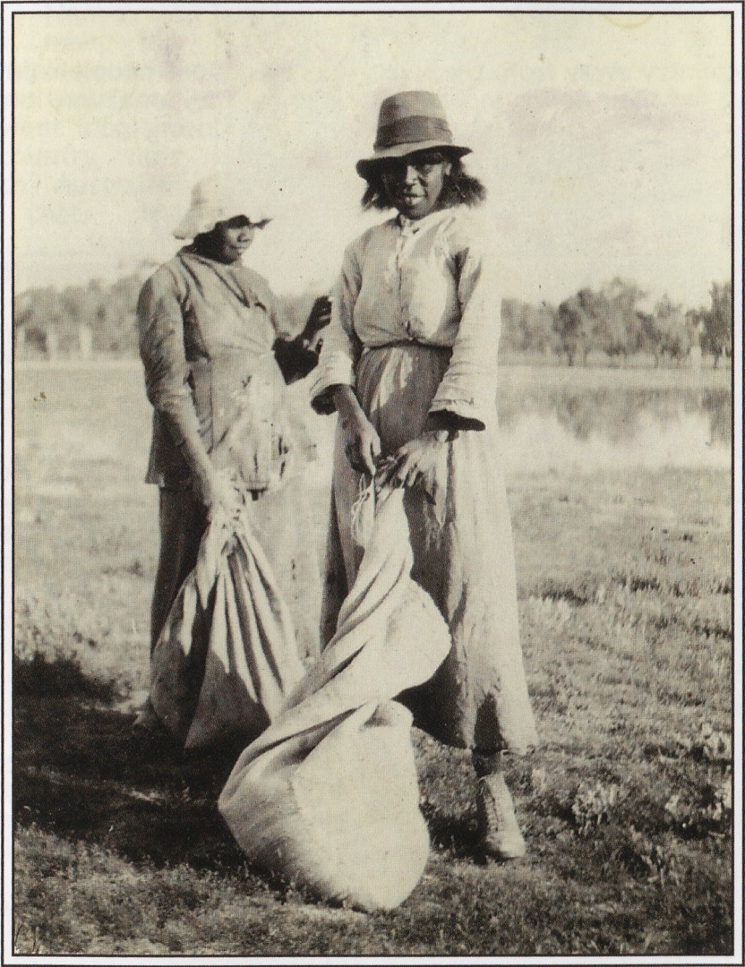 The Ngiyampaa people