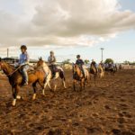Welcome - Australian Campdraft Association