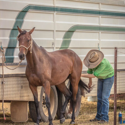 Welcome - Australian Campdraft Association