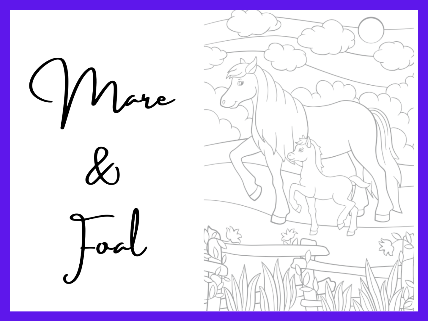 Colouring In Pages - Australian Campdraft Association