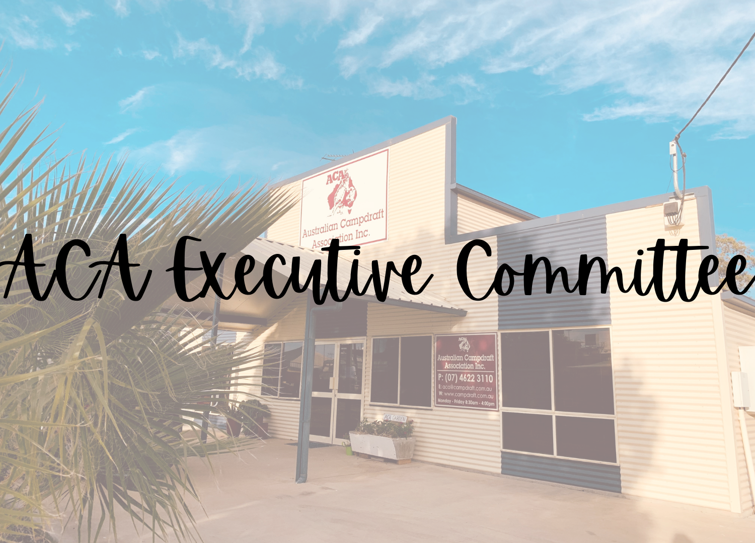 ACA Team - Australian Campdraft Association