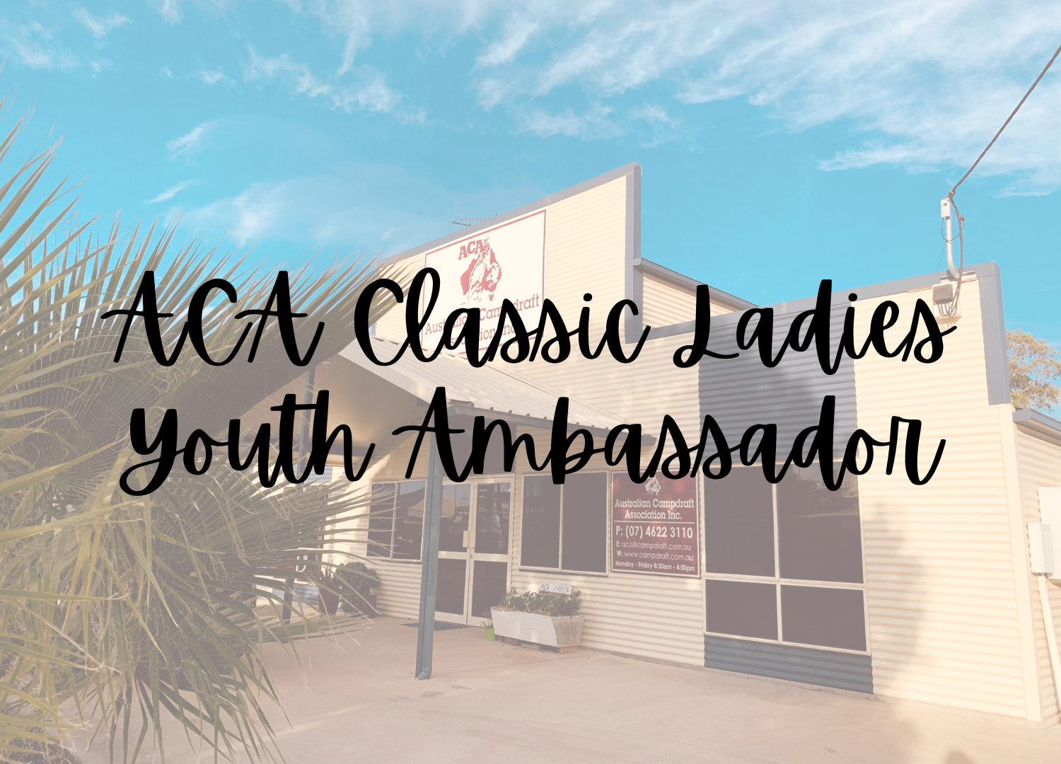 ACA Team - Australian Campdraft Association