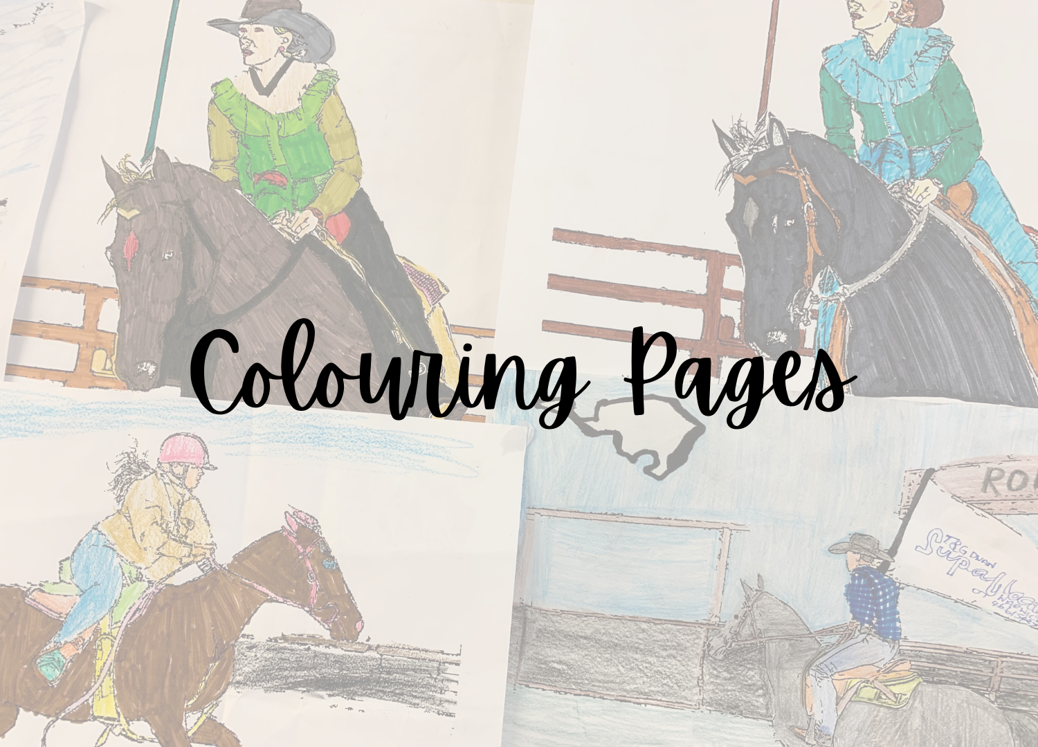 Creative Corner - Australian Campdraft Association