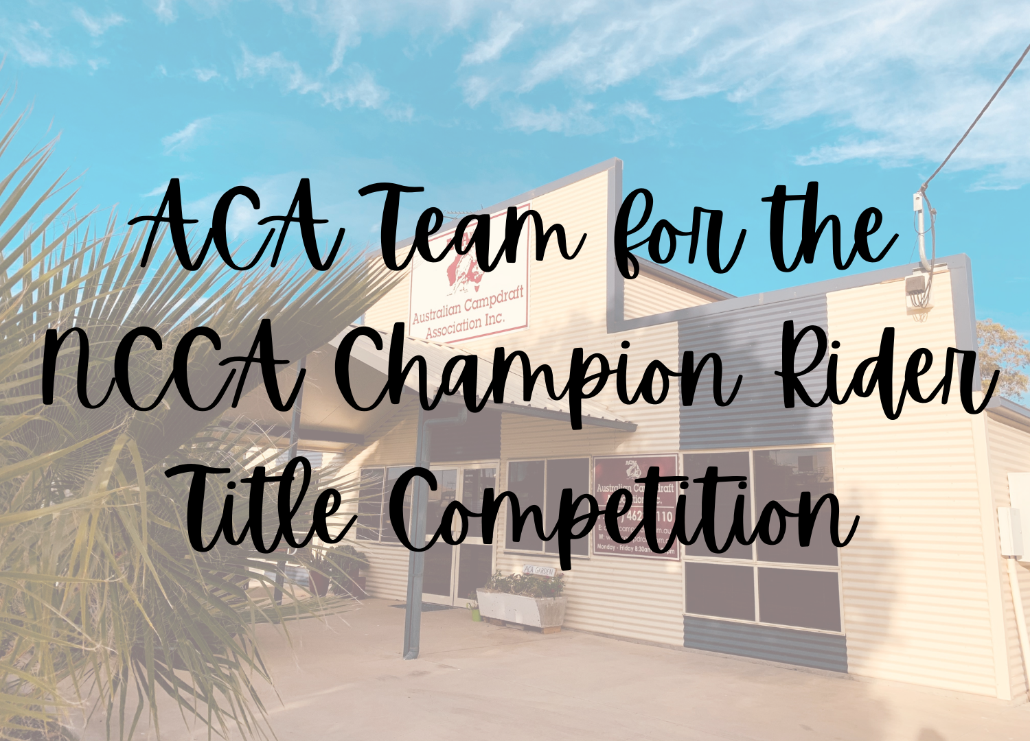 ACA Team - Australian Campdraft Association