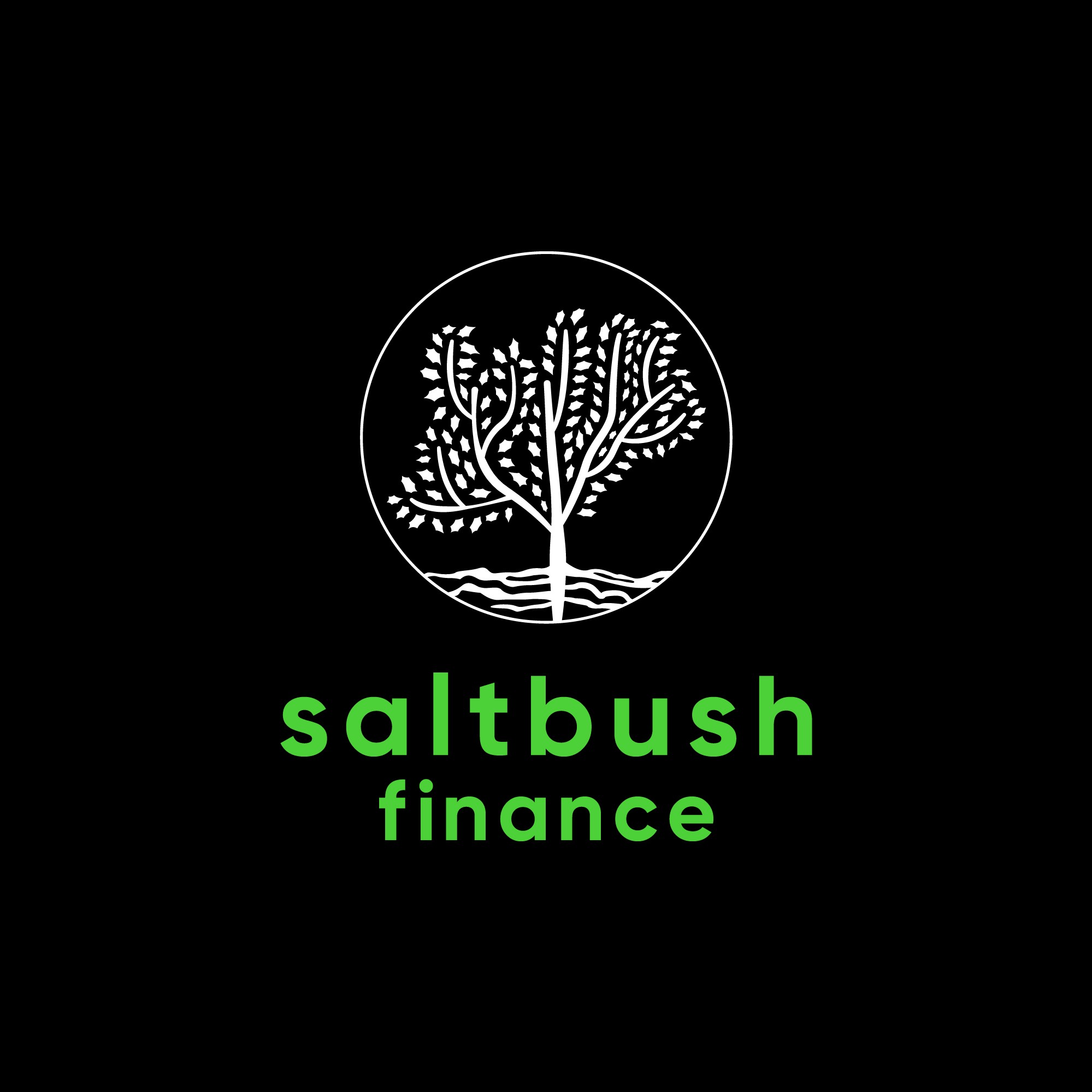 Saltbush Finance