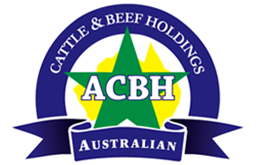 Feedlot Livestock Hands & Pen Riders | Australian Country Choice Beef
