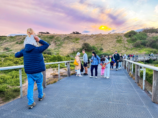 Enhancing Public Accessibility & Safety: TerraGrate FRP Solutions at ...