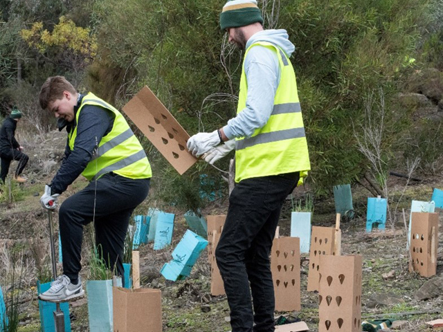 GreenGuard POP Tree Guards - Product | ODS