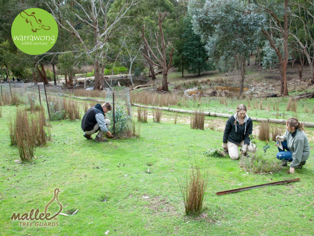 Warrawong Wildlife Sanctuary - Project | ODS