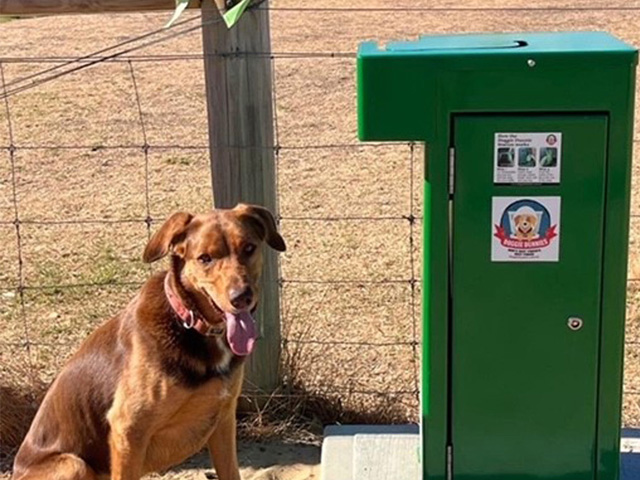 An Innovative Dog Waste Solution - Project | ODS