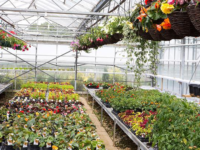 HAL Young Leader Award Goes to Nurseryman - Project | ODS