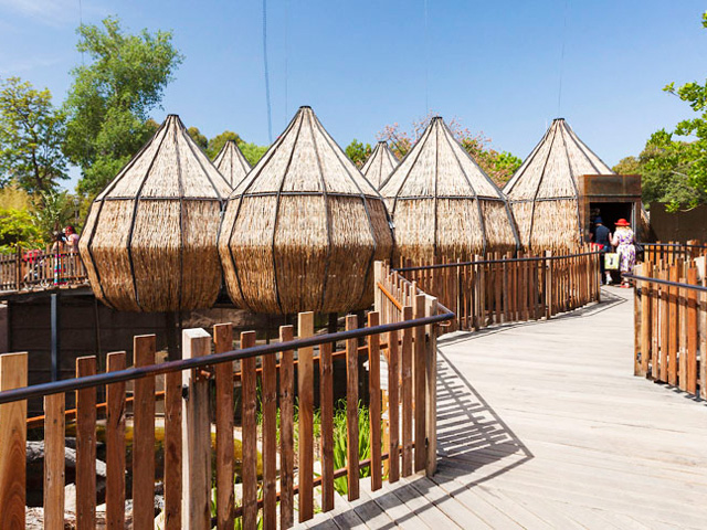 Recycled timber pods for Melbourne Zoo - Project | ODS