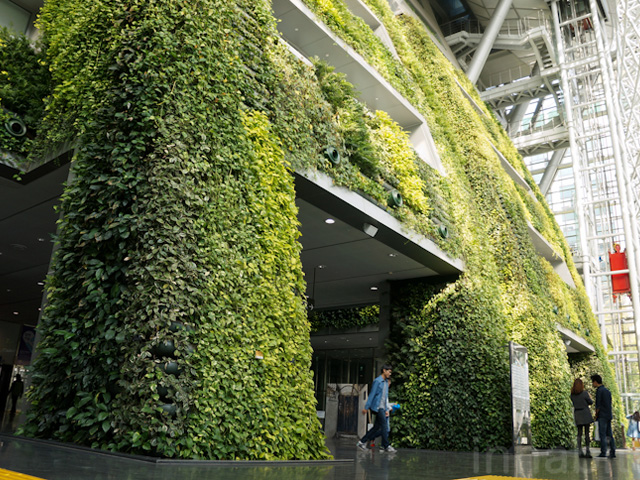 World’s largest vertical garden - Project | ODS