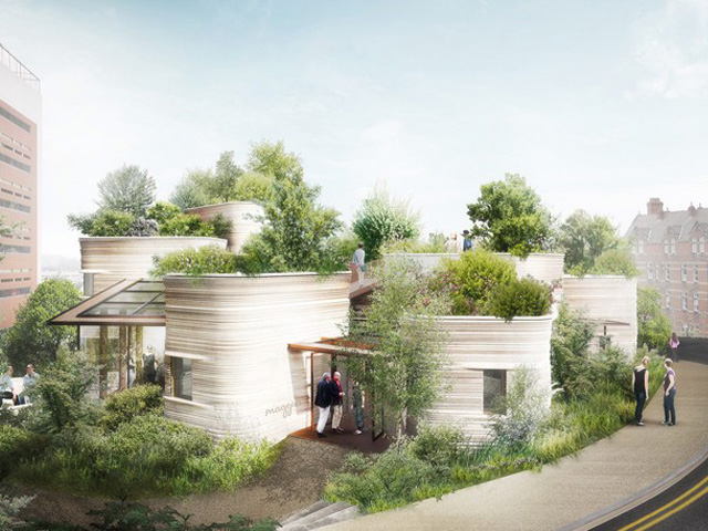 Container buildings of greenery - Project | ODS