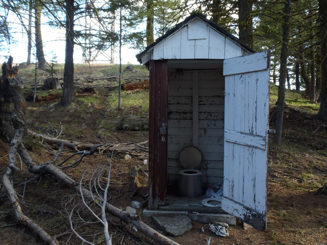 Design A Dunny - Project | ODS