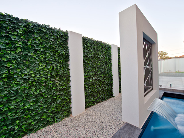 Instant Green = Instant Ivy - Project | ODS