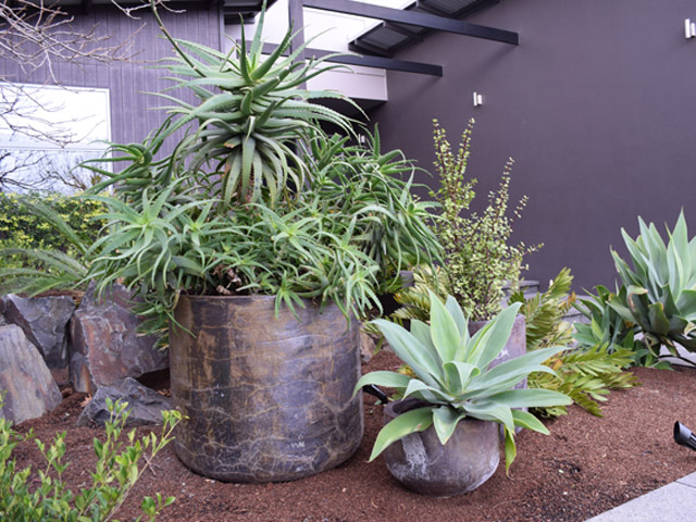 Going Organic - Project | ODS