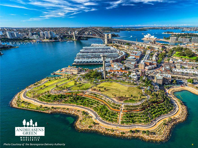 Proudly Supplying Barangaroo - Project | ODS