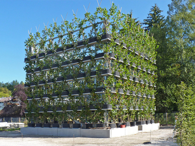 Living Buildings Growing in Favour - Project | ODS