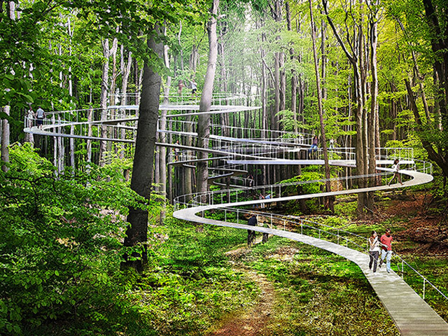 A Web of Possibilities - Project | ODS