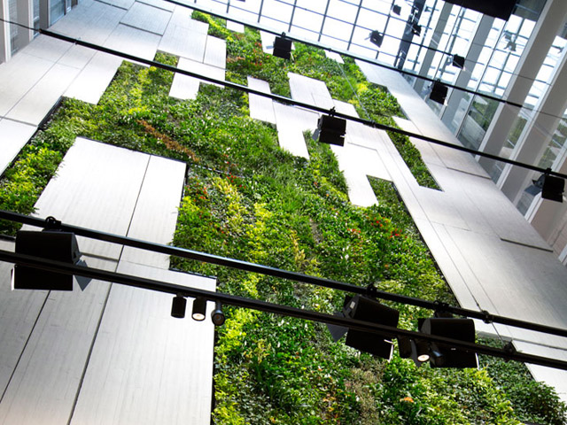 Australia’s Tallest Indoor Living Wall - Project | ODS